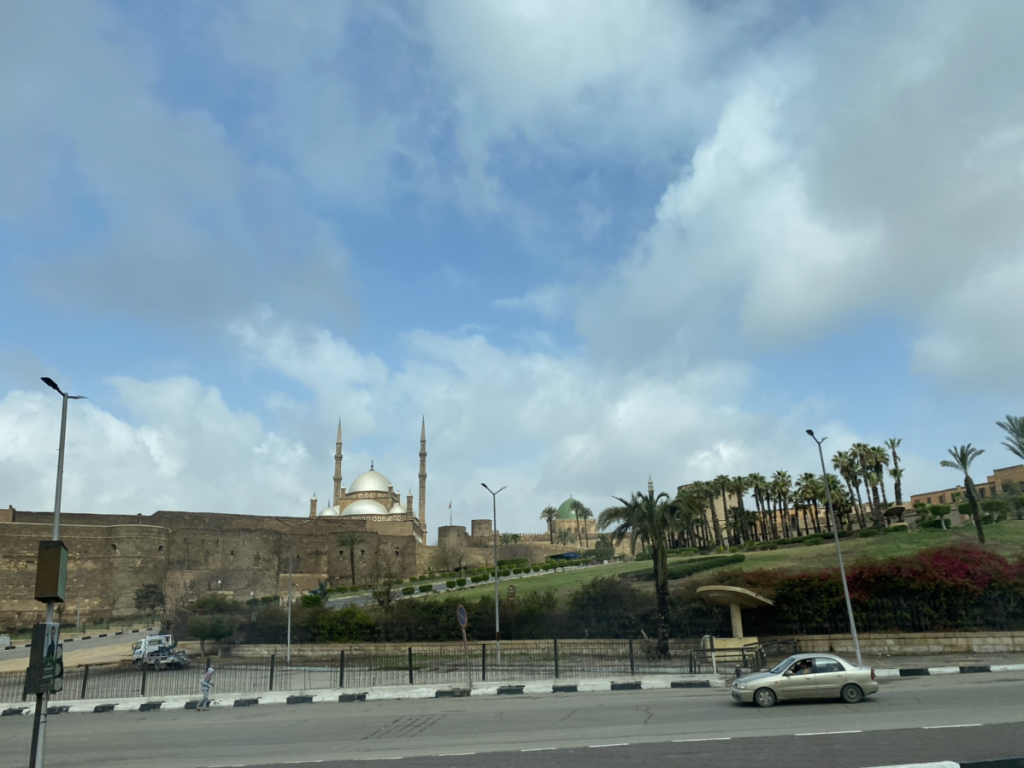 normal | NEO BRAIN POWER DISCOVER ASSOCIATION